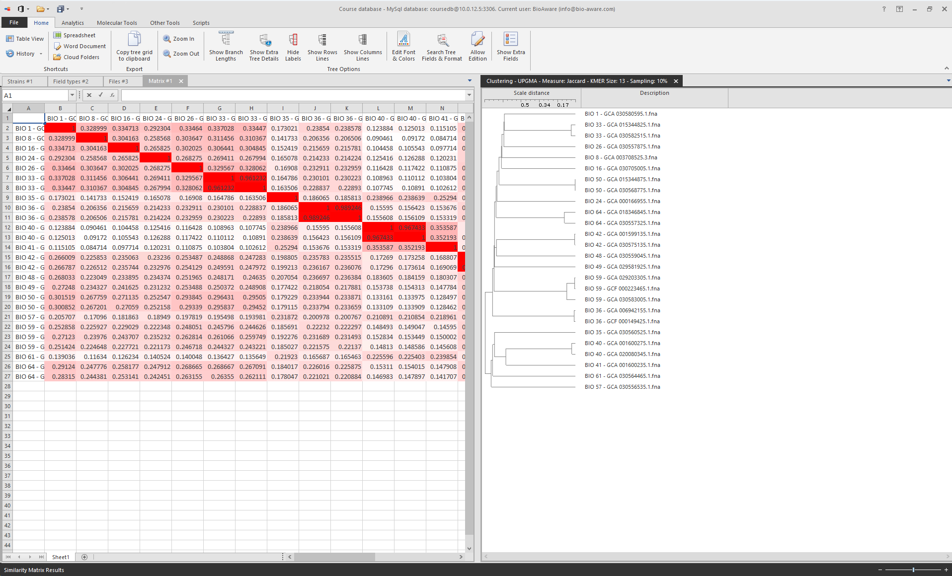 KMER Genome Clustering